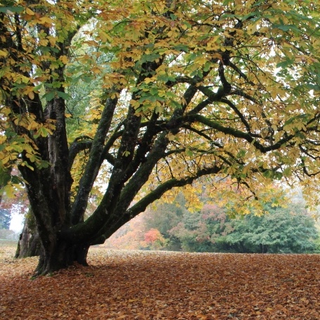 Menucha Retreat and Conference Center – Sacred Space – Purposeful Work