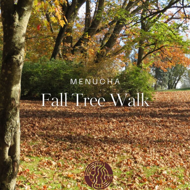 Menucha Retreat and Conference Center – Sacred Space – Purposeful Work